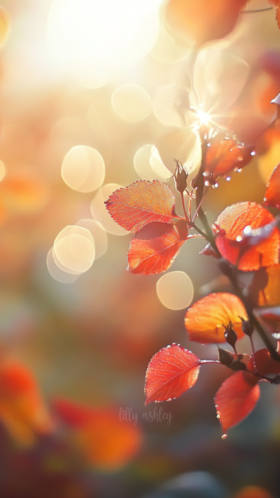 Introducing our Fall Splendor Wallpaper Collection - Lilly Ashley Design