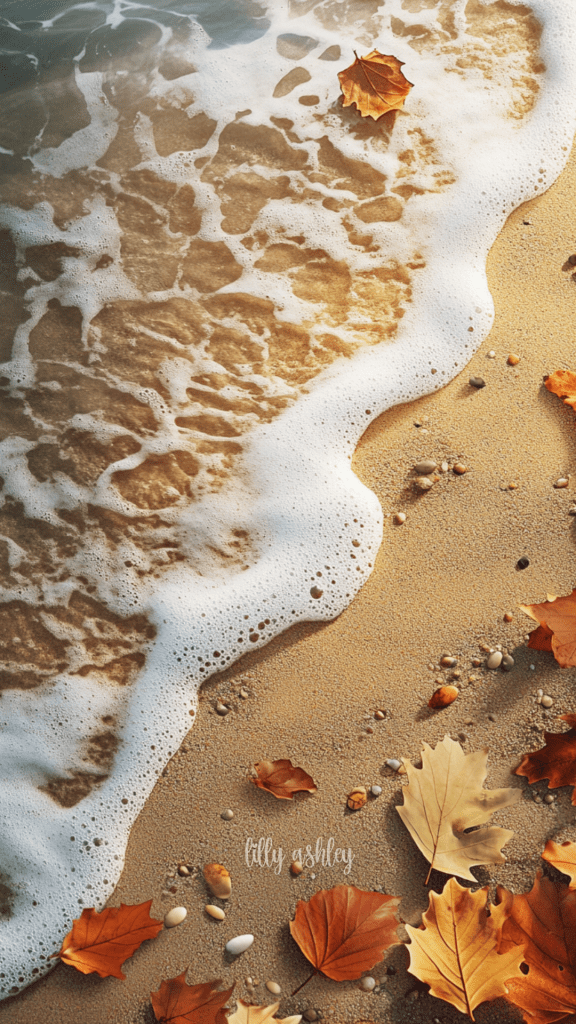 New Free Phone Wallpapers: Fall Beach Collection - Lilly Ashley Design